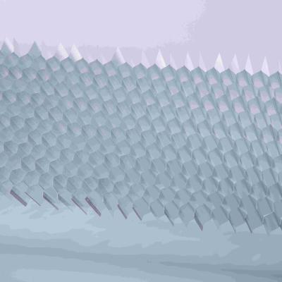 China 4x8 Inch Aluminum Honeycomb Core Panel - 3003/5052 Alloy with 0.015-0.1mm Foil Thickness for Building Applications for sale
