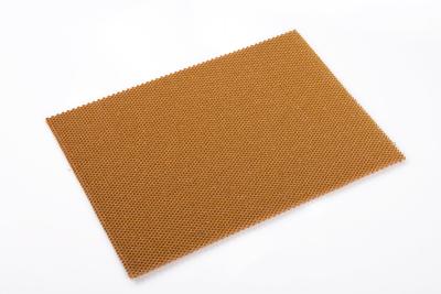 China 1220x2440mm Aramid Honeycomb Core 48-144kg/m3 Density Fire Resistant for sale