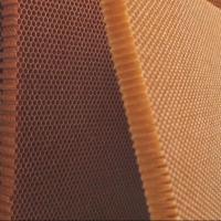 China 3.2mm Cell Size 48 Density Absorbing Honeycomb Aramid Honeycomb Core For EMI for sale