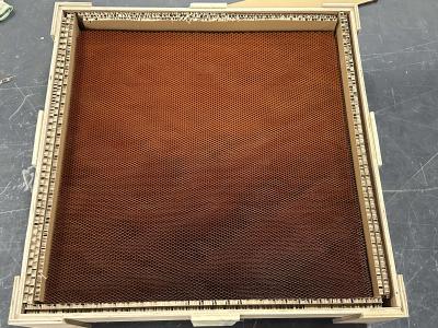 China Density 56 Flexible Aramid Honeycomb Core With Plum Blossom Cell Size For Aviation for sale