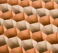 China Flame Resistant Paper Honeycomb Core 800x2100mm 900x2200mm | 10-25mm Cell Size | 120-185g Paper Weight for sale