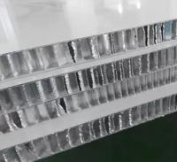 China 1000x2000mm FRP Honeycomb Panels with 5-20mm Thickness for New Energy Truck Body Applications for sale
