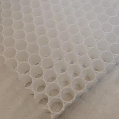 China PP Plastic Honeycomb Core 1220x2440mm with 8-12mm Cell Size for Industrial Applications for sale