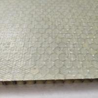 China Light Weight FRP Honeycomb Sandwich Panel 1000x2000mm with 5-20mm Thickness and Aluminum Core for sale