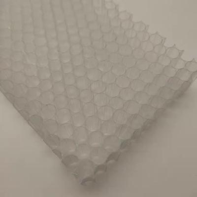 China Polycarbonate PC Honeycomb Core 8-12mm Cell Size for Photocatalyst Filter Screens - 1220x2400mm Standard Size for sale