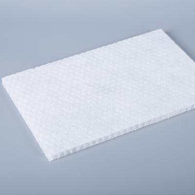 China 600x1200mm PP Honeycomb Core with Non-Woven Fabric - 8-12mm Cell Size, 10-20mm Thickness for Composite Panels for sale