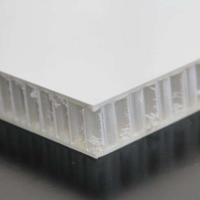 China Lightweight Polypropylene Honeycomb Core FRP Panels 10-20mm Thickness for Van Walls and Flooring Applications for sale