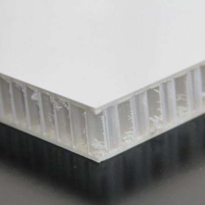 China Lightweight Polypropylene Honeycomb Core FRP Panels 10-20mm Thickness for Van Walls and Flooring Applications for sale