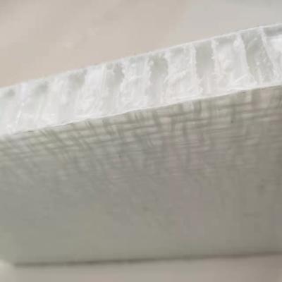 China FRP Fiberglass Honeycomb Sandwich Panel 5-20mm Thickness with 1220×2440mm Dimensions for Truck & Marine Applications for sale