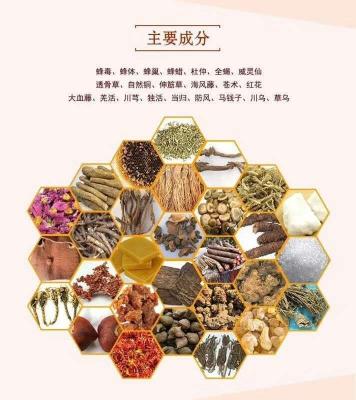 China The plaster of queen bee- medicine plaster Choose 22 kinds of precious Chinese medicinal materials for sale
