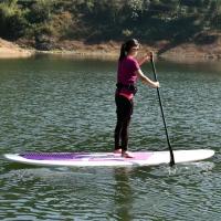 China Factory Price Full Color SUP Paddle Board OEM ODM Wholesale Stand Up Paddle Board Rigid Durable All Skill Paddle Board for sale