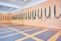 China Inspect Springs Regularly Pilates Wall Mounted Units Wall Mounted With Heavy-duty Brackets Weight Capacity Up To 300 Lbs And Safe For Daily for sale
