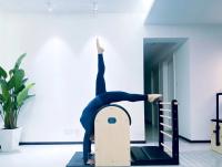 China Iron Stand Ladder Barrels Pilates Equipment for Professional for sale