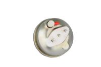 China Fiat 131 Auto Brake Booster for Fiat OE Number 85009691 for sale