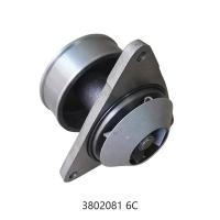 China Diesel Water Pump For Cummins 6CT 6CTA8.3 OEM 3802081 for sale