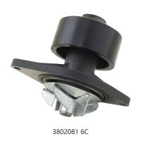 China Diesel Water Pump For Cummins 6CT 6CTA8.3 OEM 3802081 for sale