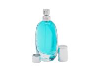 China Fine Mist Cosmetic Spray Bottle Surlyn Cap FEA15 Silk Screen Printing for sale