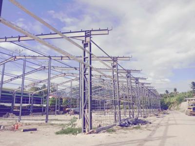 China Large Agricultural Steel Frame Farm Shed Poultry House Chicken Coop Storage Barn 30m Span for sale