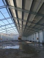 China Light Steel Structure Chicken Coop Building 36m Span 50 Year Lifespan for Poultry Farm for sale
