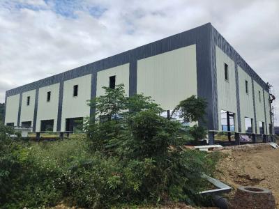 China Galvanized Steel Structure Warehouse Customizable Layout Efficient Space Management 50 Year Service Life for sale