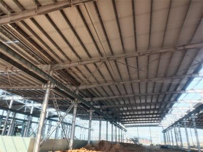 China Customized Light Steel Structure Building Long Span 50 Year Life Q235 Q345 for sale
