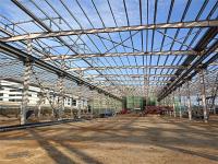 China Customized Light Steel Structure Building Long Span 50 Year Life Q235 Q345 for sale