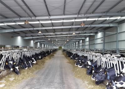 China Galvanized Steel Farm Shed Structure Durable Agricultural Building 150x100mm Column for sale