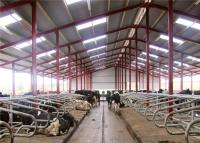 China Prefabricated Light Steel Farm Shed for Cattle High Strength Galvanized Structure 9406900090 for sale