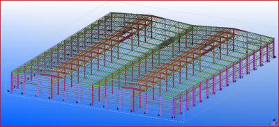 China Two Span H Section Light Steel Structure Warehouse Big Plant For Philippines for sale