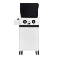 China High Intensity Portable HIFU Machine Focused Ultrasound Facial Treatment 3mm 4.5mm for sale