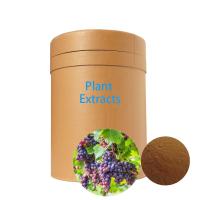 China Moisture-Proof Fiber Drums For Plant Extracts And Natural Powders | Custom Packaging With PE Or Aluminum Foil Liner By Nanjing Shengjiang Packaging for sale