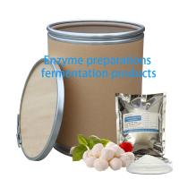China Moisture-Proof Fiber Drum For Enzyme And Fermentation Products | Custom Paper Drum With PE Or Aluminum Foil Liner By Nanjing Shengjiang Packaging for sale