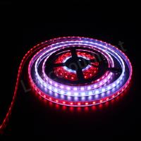 China IP68 Waterproof WS2811 RGB 5050 SMD DC24V Flexible LED Strip Lights for sale