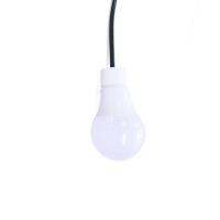 China Christmas 60mm DMX RGB Festoon Light Outdoor Coloured LED Pixel RGBW Bulb for sale