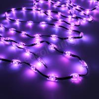 China IP66 Christmas Festival Decorative DC12V RGB Color Changing LED String Lights for sale
