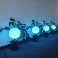 China DC24V Waterproof Lighting DMX RGB LED Sphere Lights For Garden Grass Decoration for sale