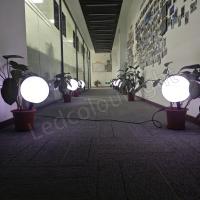 China DC24V Waterproof Lighting DMX RGB LED Sphere Lights For Garden Grass Decoration for sale