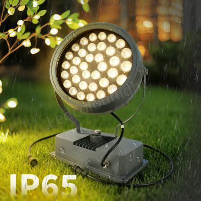 China LED Controller Landscape Flood Light DC24V Weather-Resistant Outdoor Lighting for sale