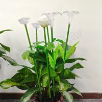 China Silicone LED Flower Stake Light DMX512 RGB Tulip Lily Rose Outdoor Garden Lamp for sale