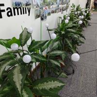 China Floor-standing Lamp Garden Lawn Decorative Outdoor Bulb 45mm RGB Globe Lights for sale