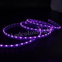China IP65 Waterproof Addressable DC12V WS2811 Side Emitting RGB LED Strip Light for sale