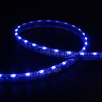 China IP65 Waterproof Addressable DC12V WS2811 Side Emitting RGB LED Strip Light for sale
