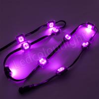 China IP66 Outdoor Building LED Pixel String Lights 30x40mm DC24V RGB Point Light for sale