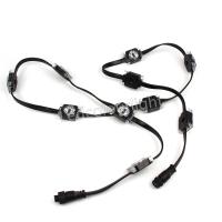 China IP66 Outdoor Building LED Pixel String Lights 30x40mm DC24V RGB Point Light for sale