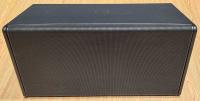 China High Performance Double Line Array Pa Speaker 600w Light Weight 12 Inch for sale