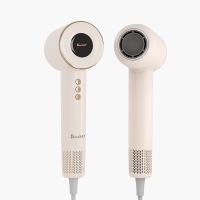 China High Speed Professional Salon Hair Dryer Hair Salon Blow Dryer With Self Cleaning for sale