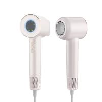 China Professional Sensor Hair Dryer Intelligent Heat Regulation Quiet Hair Dryer Plasma Ionic Care for sale