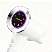 China White Professional Ionic Hair Dryer With Brushless Motor Low Noise Temperature Control for sale