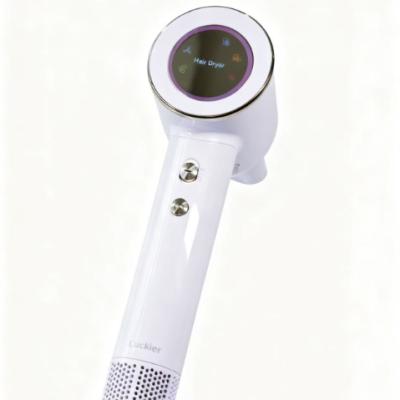 China 110000 RPM Luxury Hair Dryers Ionic Technology 110v 220v high end hair dryer for sale