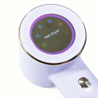 China 1600W LED Display Professional Hair Dryer With 110000 RPM Brushless Motor for sale